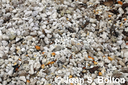 Using Soil Amendments - Santa Barbara Garden Design - Joan S Bolton