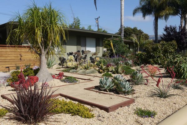 Succulent Garden - Santa Barbara Garden Design - Joan S Bolton